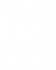 Hivessel - Nesting Digital Innovations