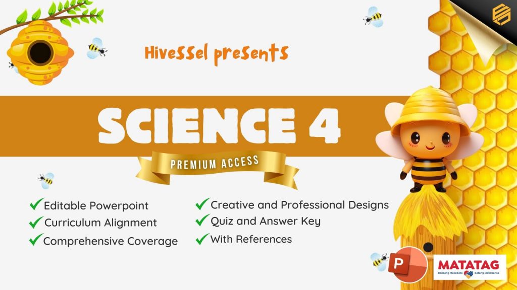 E-Lessons - Hivessel